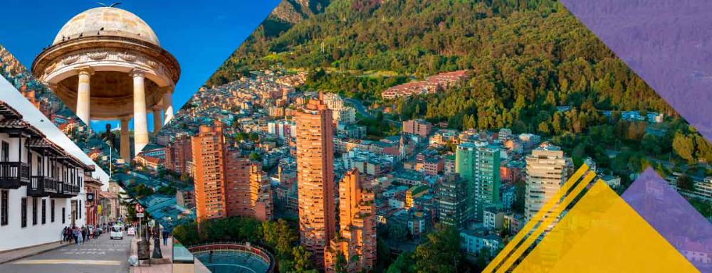 Programas / Programs > International Programs